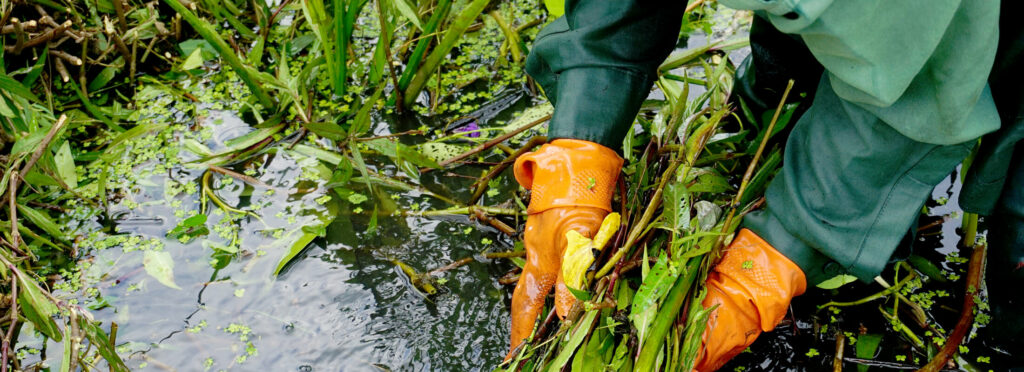 Pond Chemical Cleaning | Waterline Preservation & Management, LLC