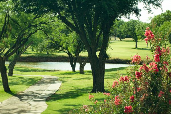 Golf Course Pond Maintenance Basics | Waterline, Houston TX