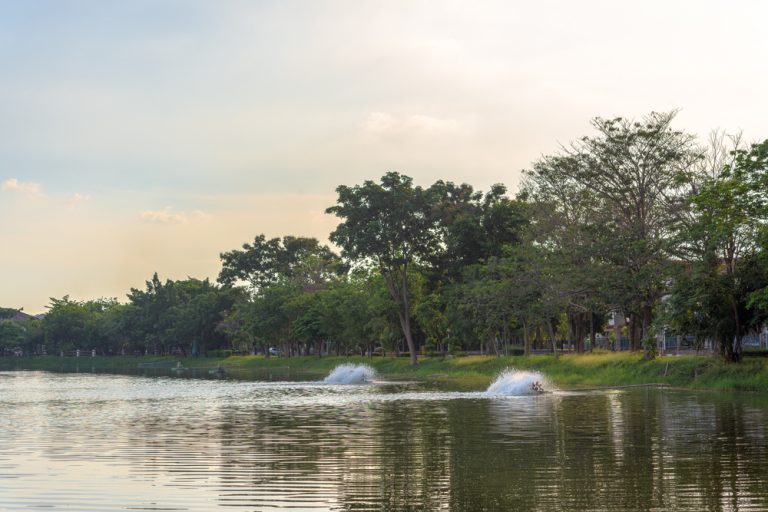 5 Different Types of Pond Aeration Systems | Waterline